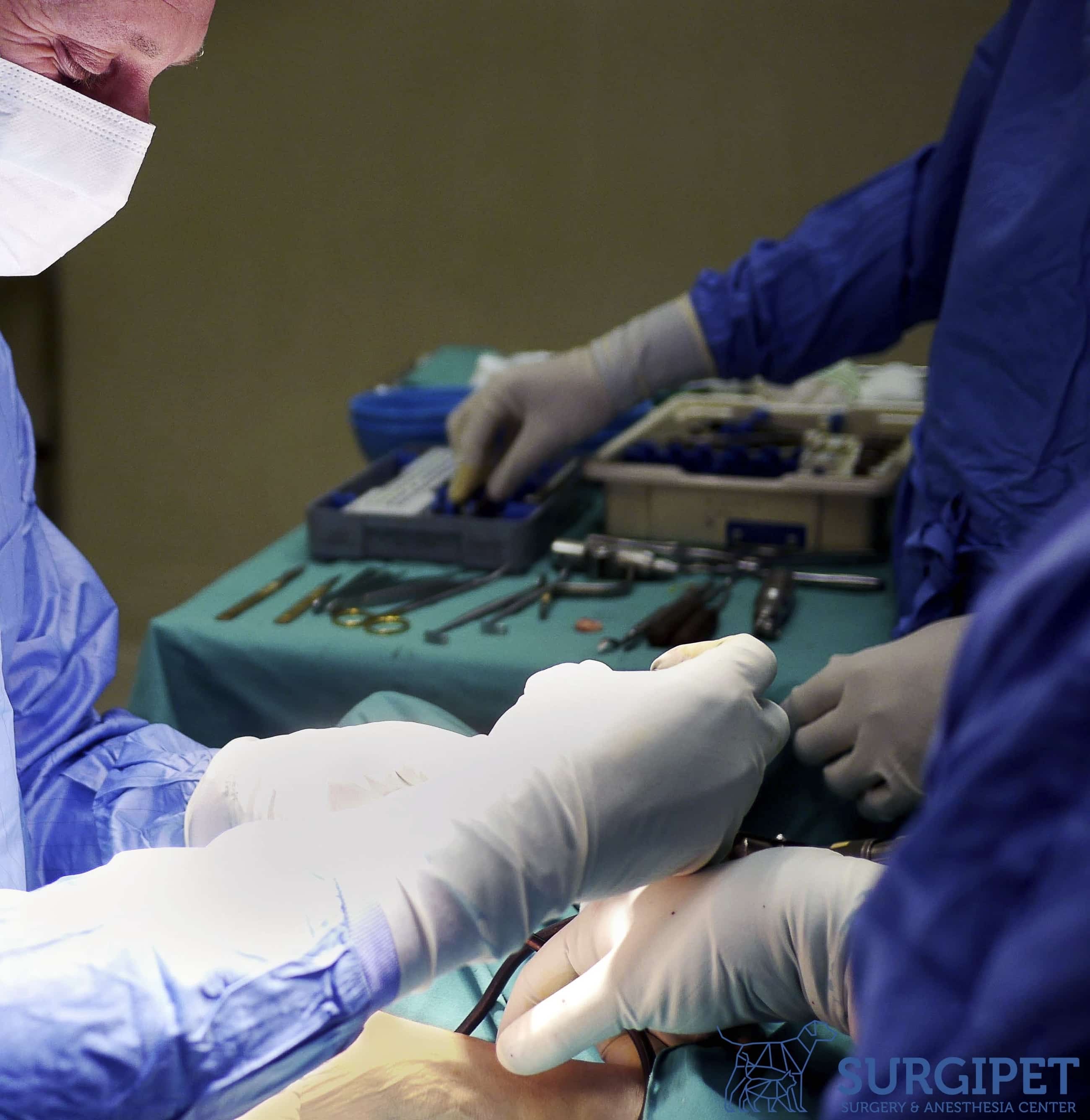 Surgipet Surgery & Anesthesia Center - San Marcos, CA