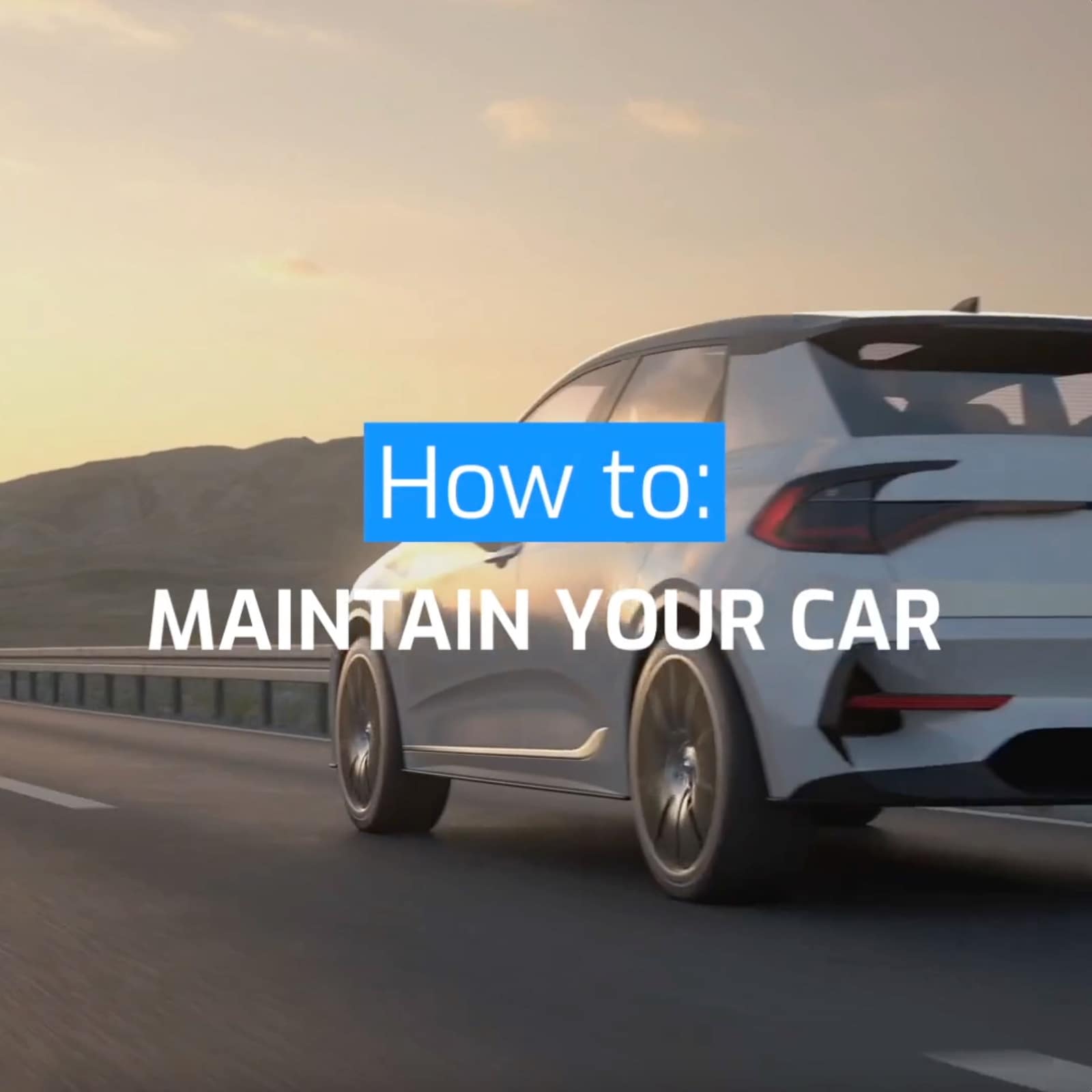 Online video maker for businesses | PlayPlay