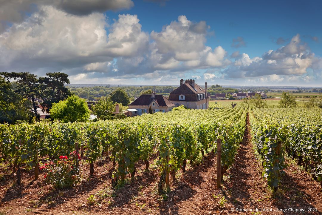 Domaine de l'Arlot | Burgundy Wine Collection
