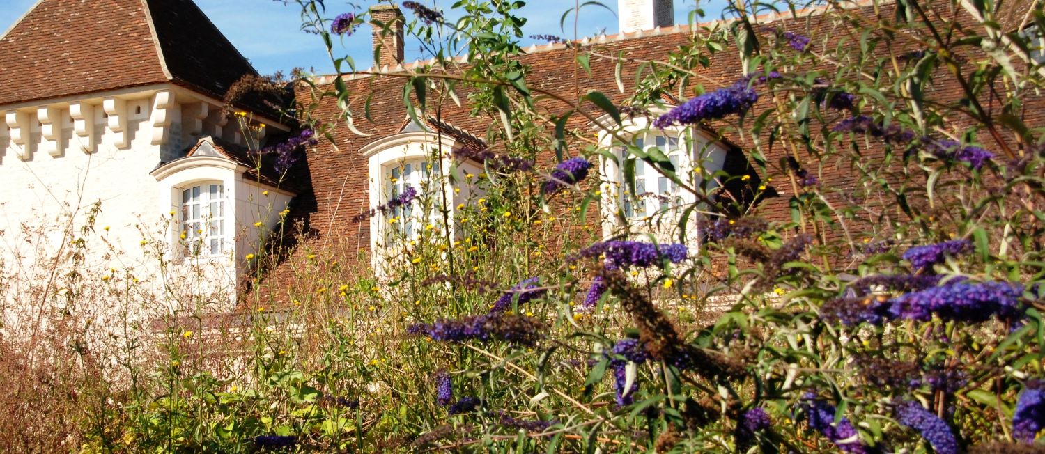 Jean Durup | Burgundy Wine Collection