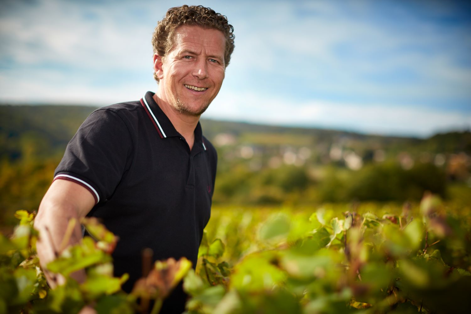 David Duband | Burgundy Wine Collection