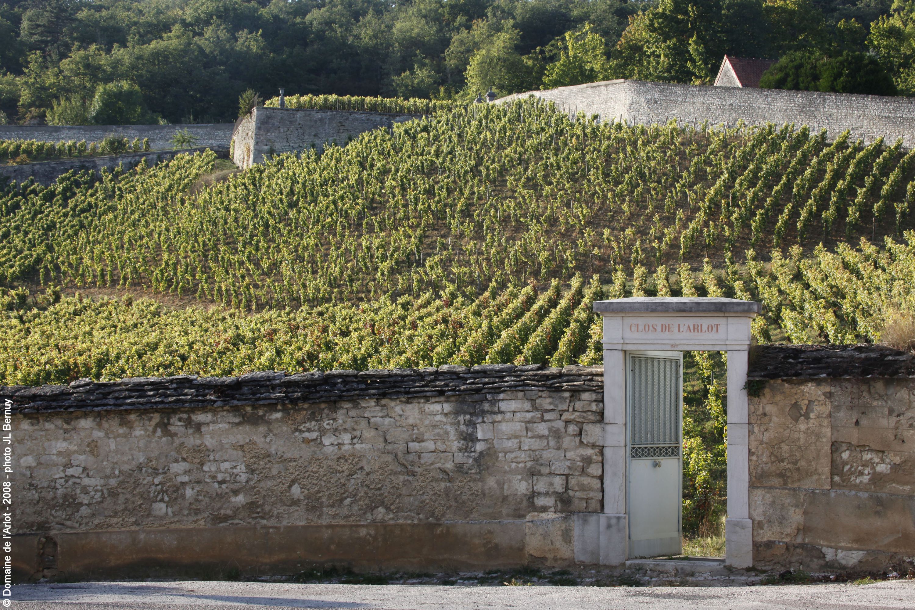 Domaine de l'Arlot | Burgundy Wine Collection