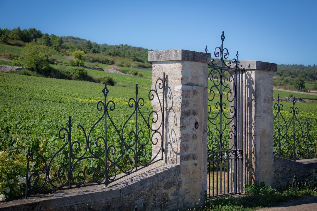 Ramonet | Burgundy Wine Collection