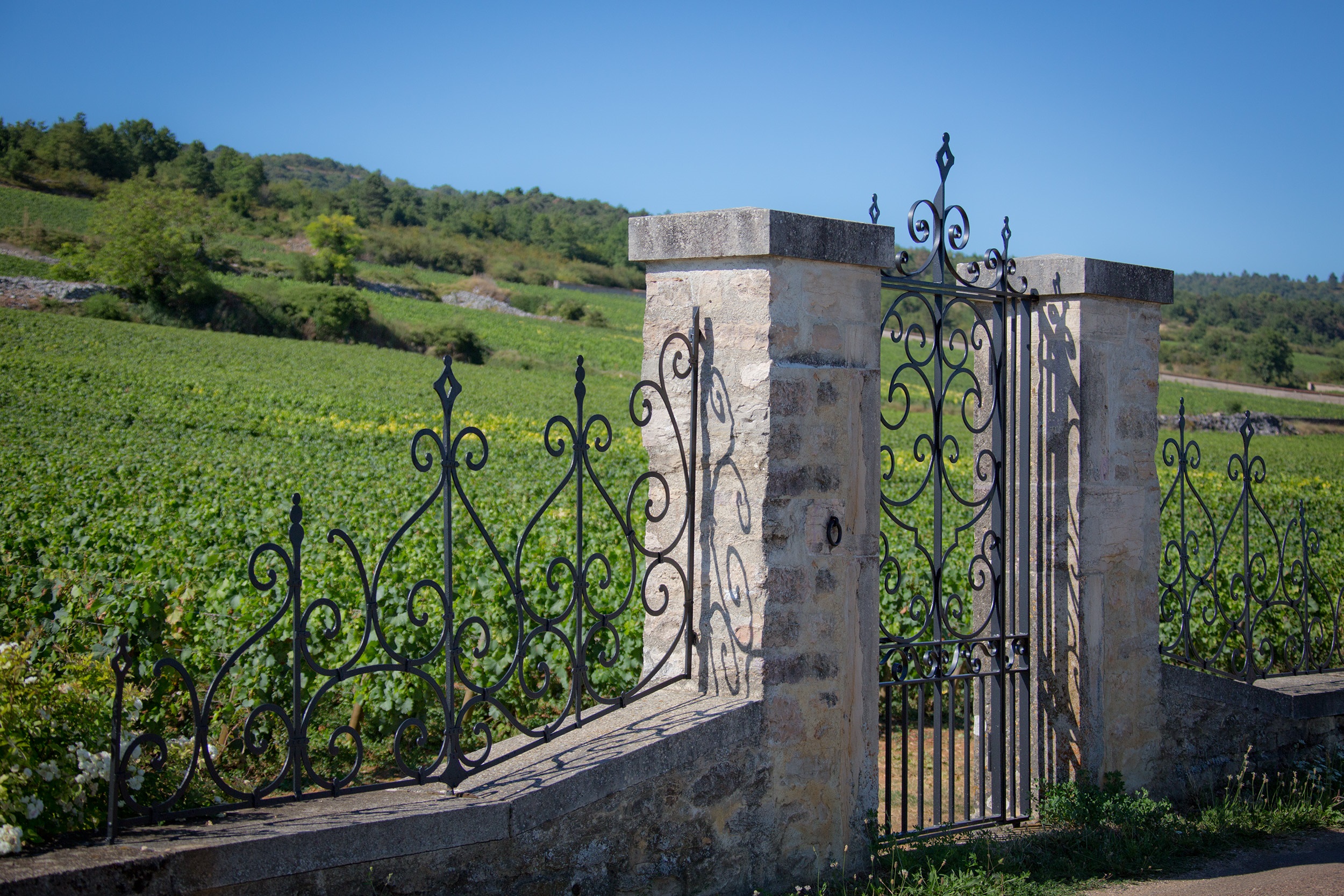 Ramonet | Burgundy Wine Collection