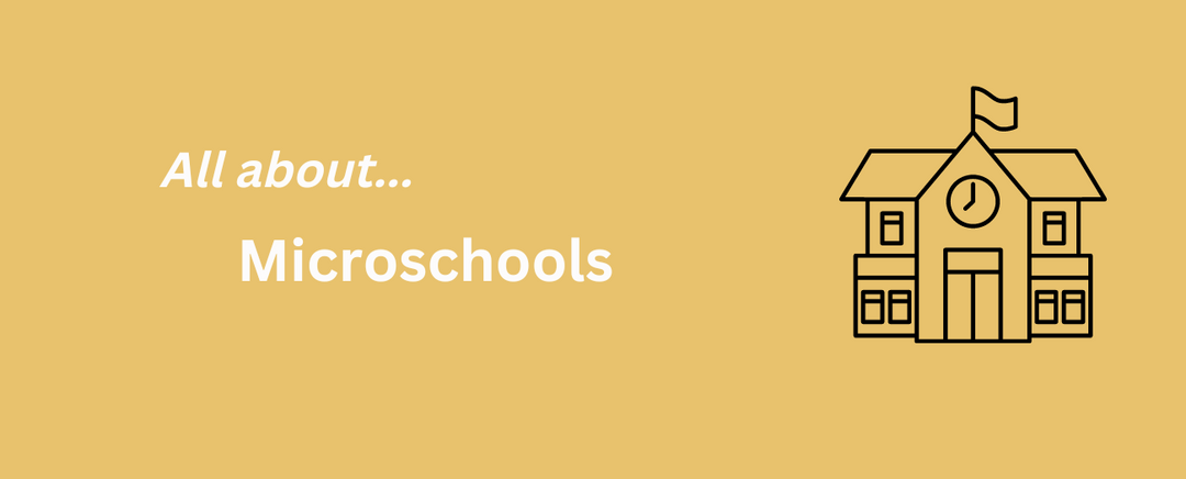 Details about Microschools and its advantages