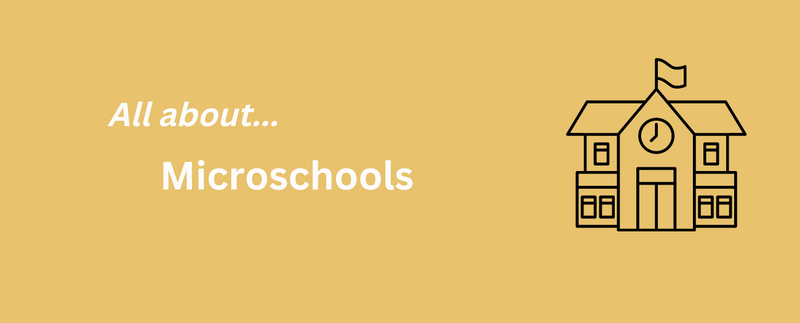 Details about Microschools and its advantages
