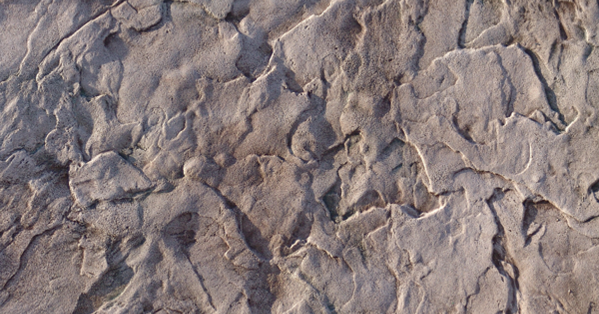 Seamless Textures & Designs