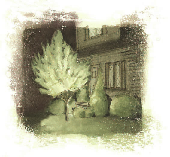 Landscape Lighting Tips & Techniques | Allera Light