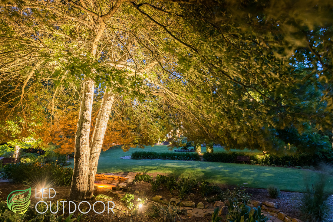 Lighting Nature | Allera Light