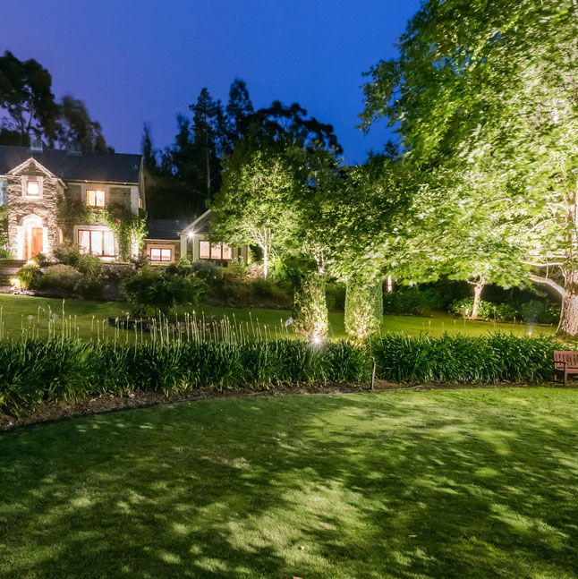 Lighting Nature | Allera Light