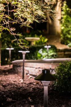 Little Lighting Wonders | Allera Light