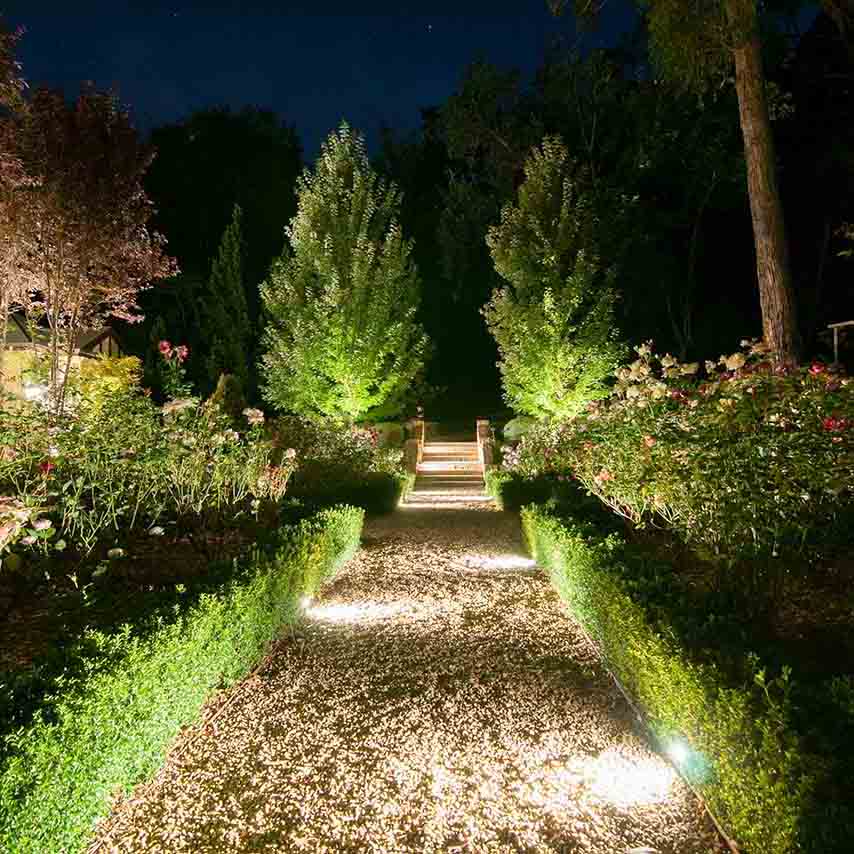 Tips for Brightening your Garden | Allera Light