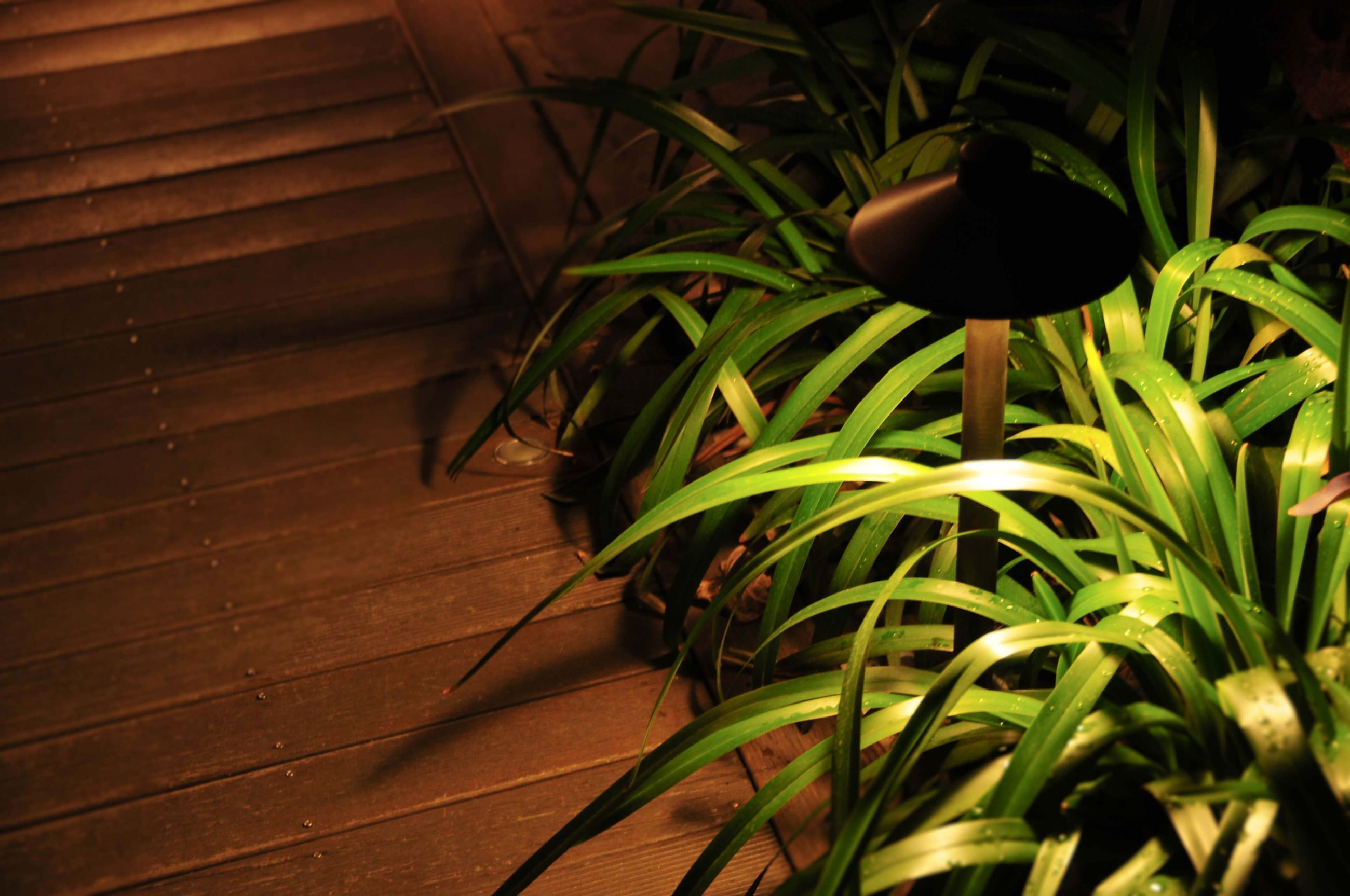 Outdoor Path Lights | LED Bollard & Pathway Lighting | Allera