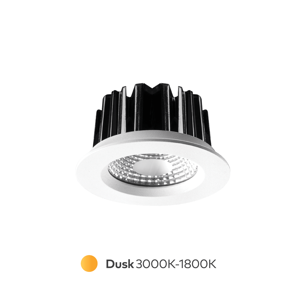 Apex Dusk Downlight | Allera Light