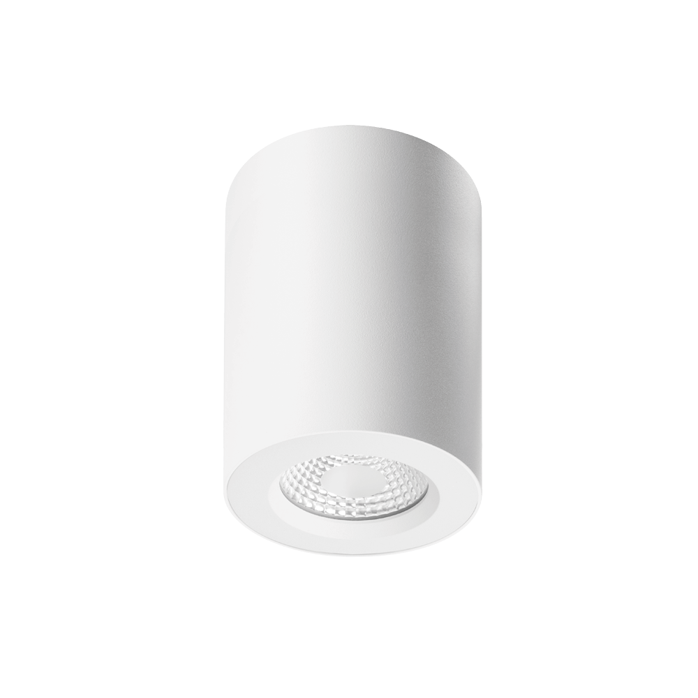 Apex Surface Mounted Downlight | Allera Light