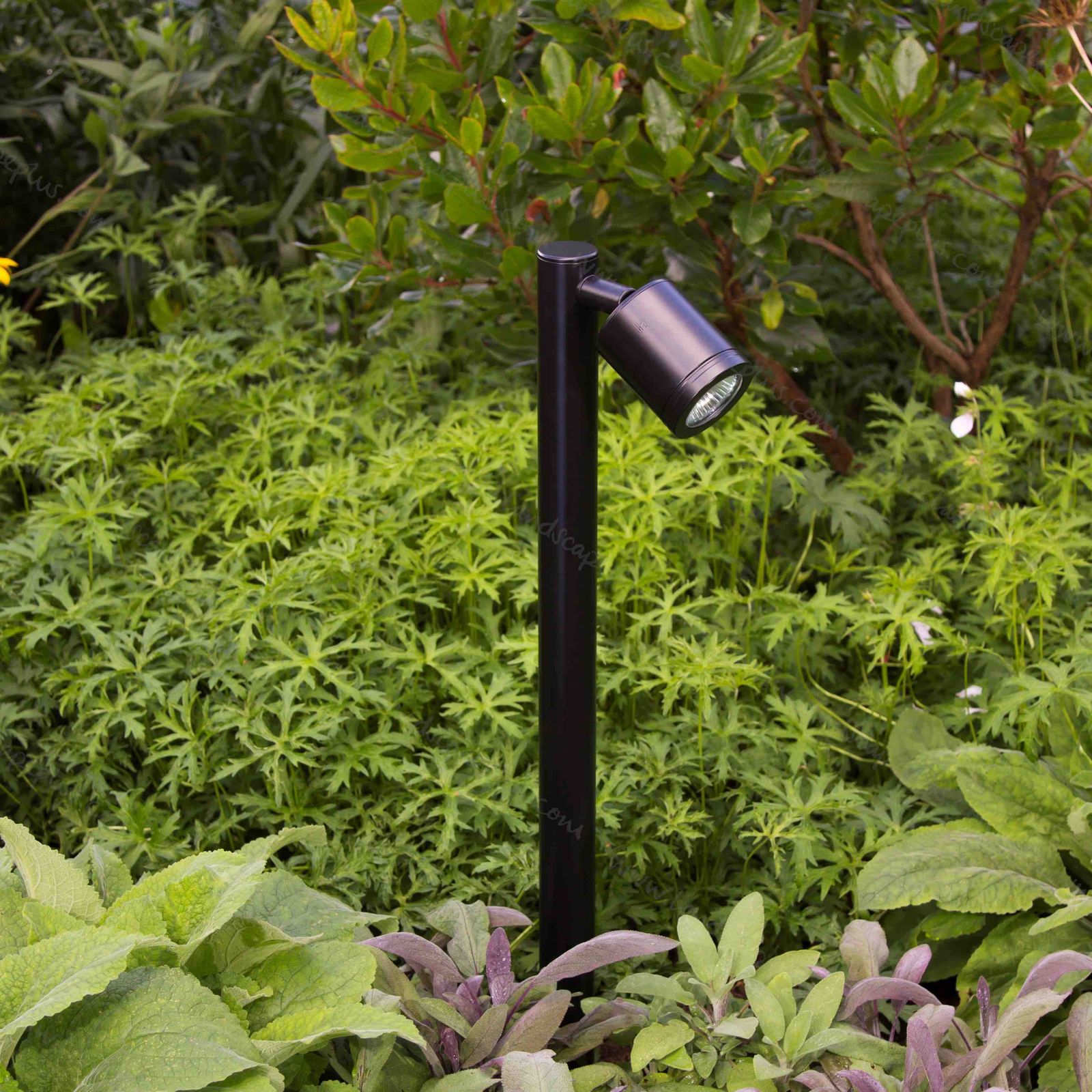 Outdoor Path Lights | LED Bollard & Pathway Lighting | Allera