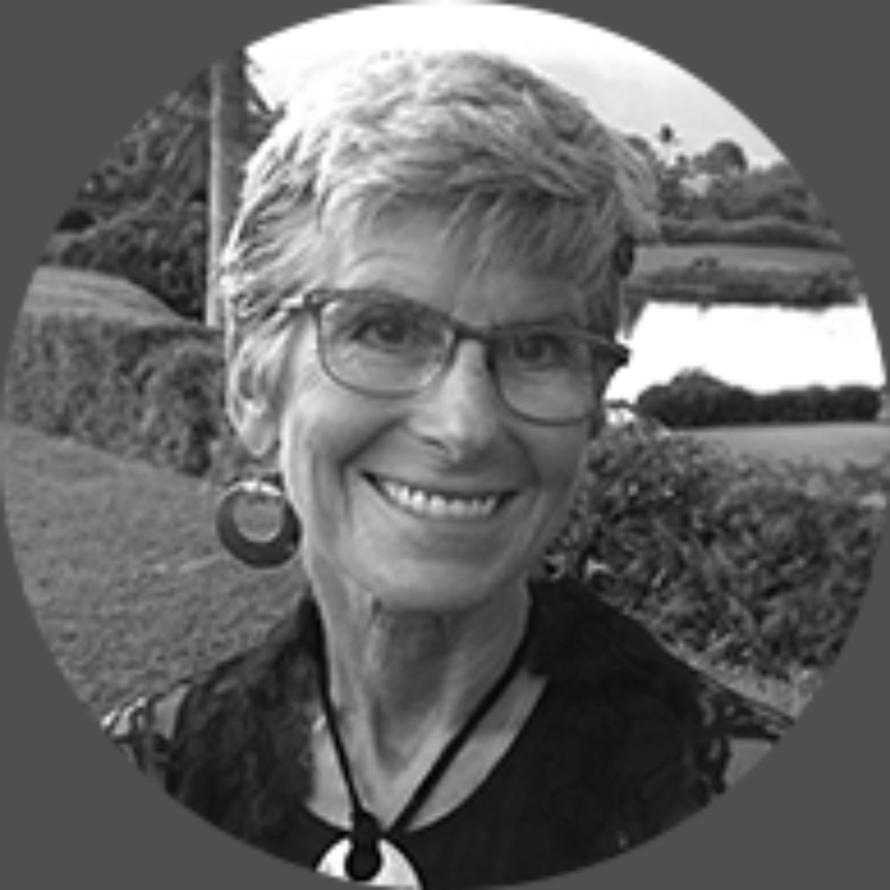 Christian Explorations in the Concept of Human Dignity | Dignitas Vol ...