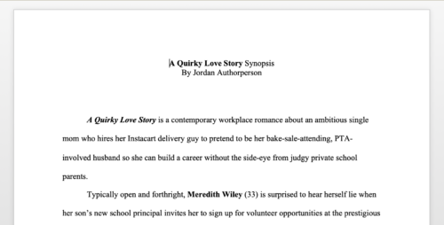 What Is A Book Synopsis 
