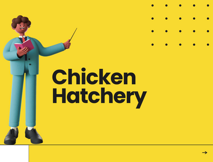 Marketing Your Chicken Hatchery Business: 9+ Ideas to Get Customers