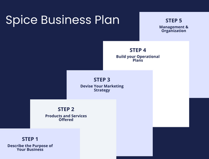 The #1 Spice Business Plan Template & Guidebook