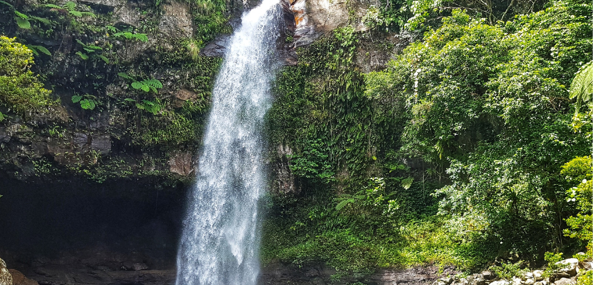 Exploring Bouma National Heritage Park on Beautiful Taveuni Island