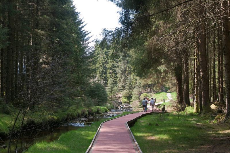 Rhyd-y-benwch to Llangurig Route Facts and Information