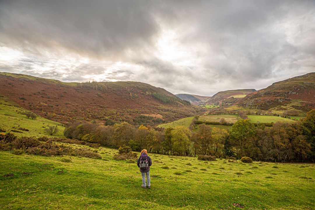 Builth Wells to Erwood Route Facts and Information