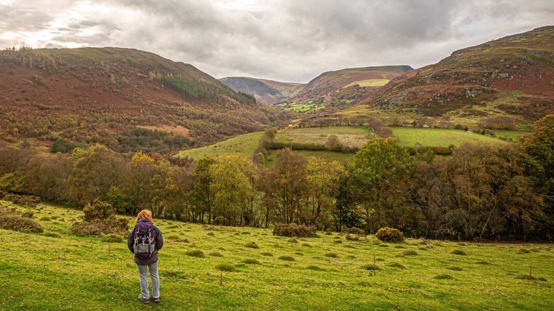 Llangurig to Rhayader Route Facts and Information