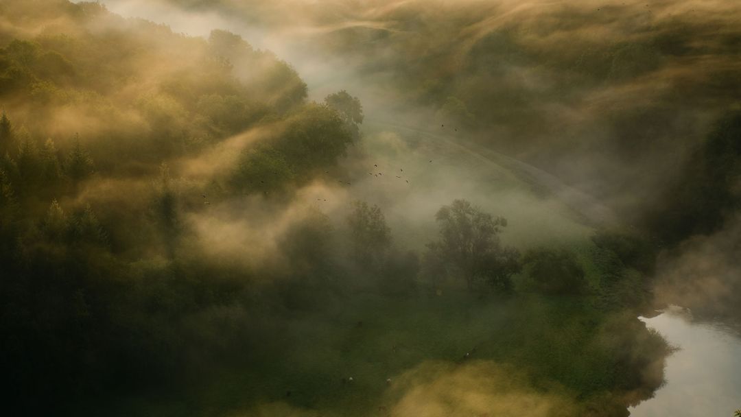 Kerne Bridge to Symonds Yat Route Facts and Information