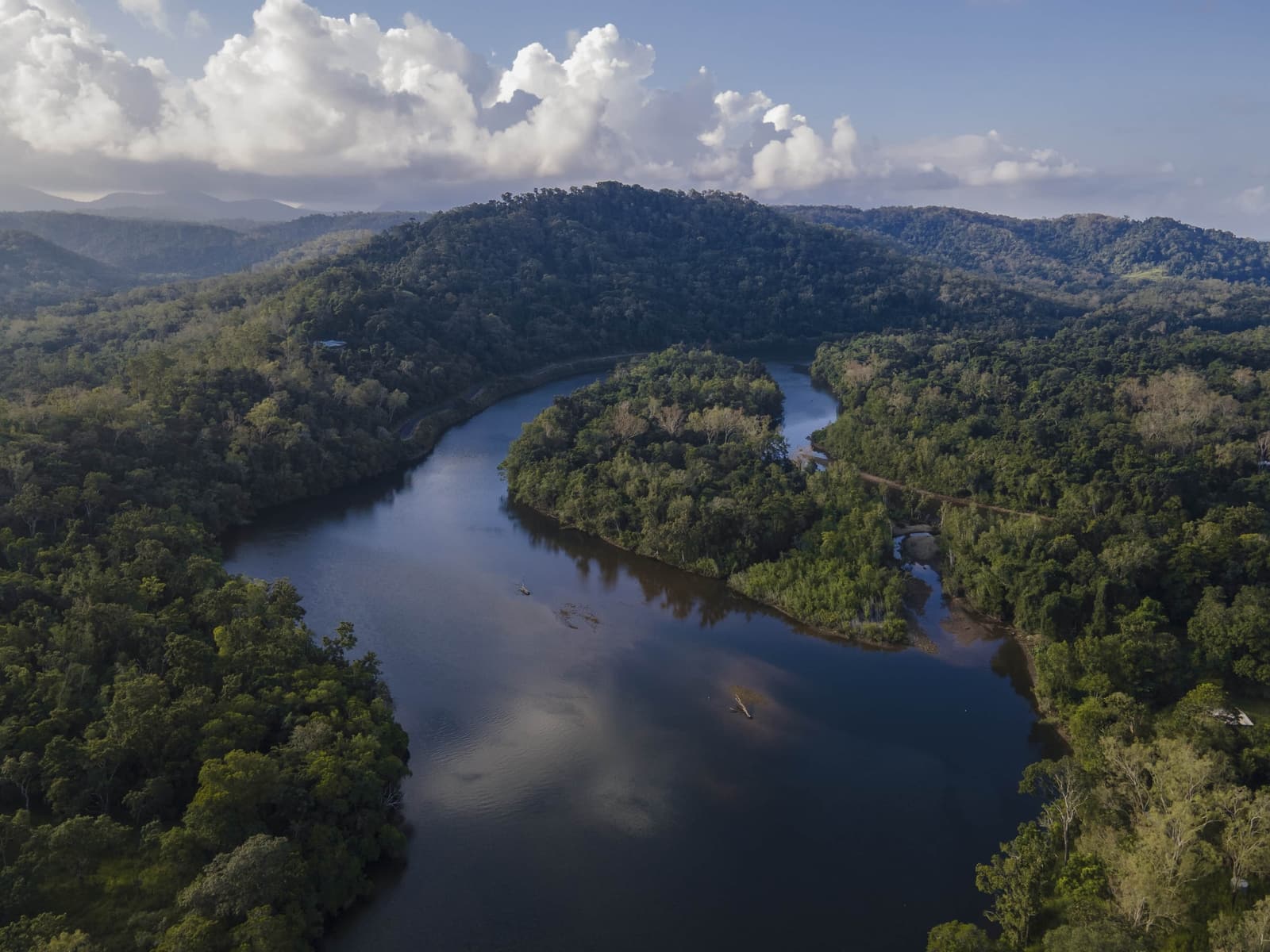 Things to do in Daintree. Best Daintree tours!