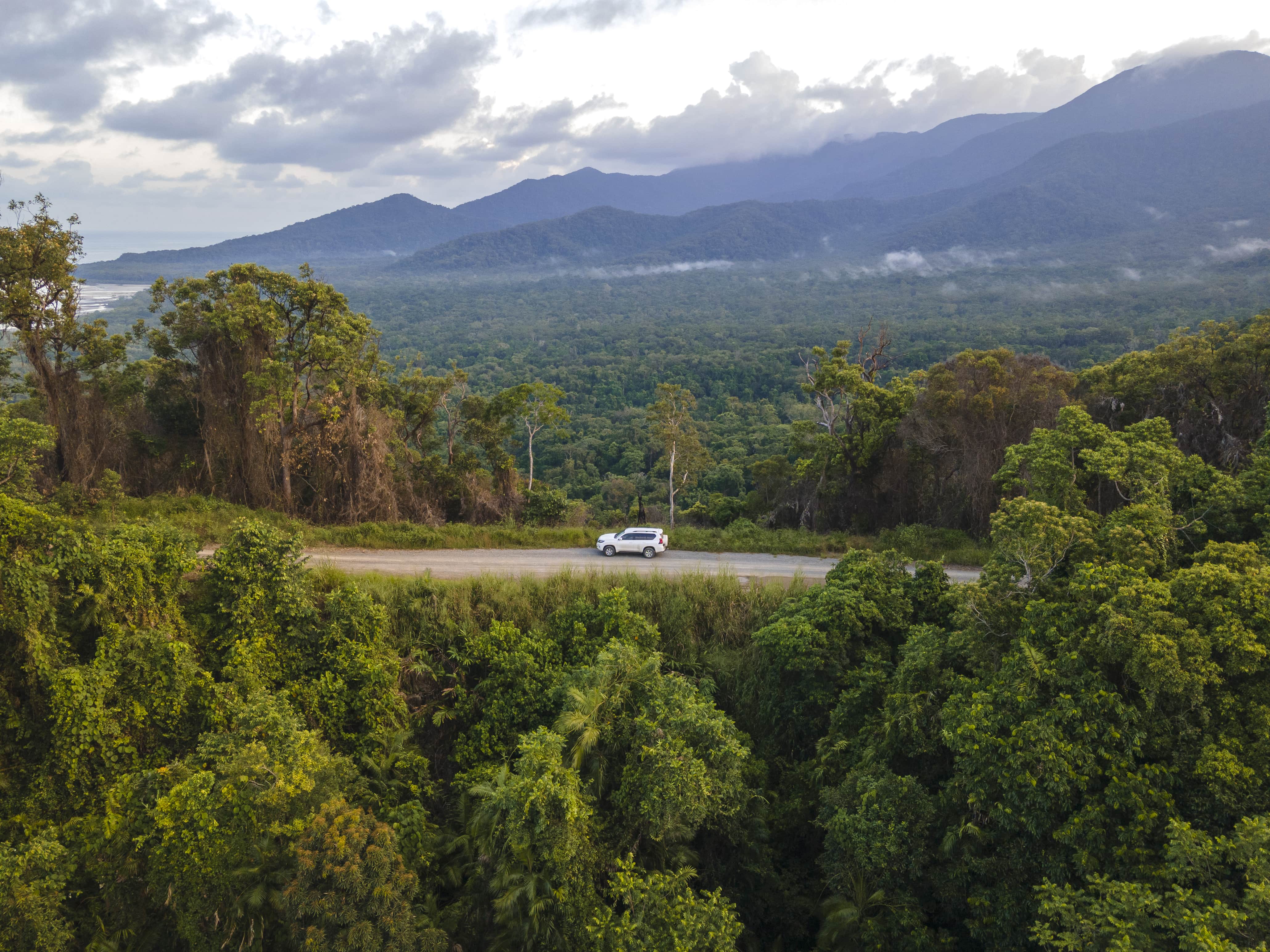 Things to do in Daintree. Best Daintree tours!