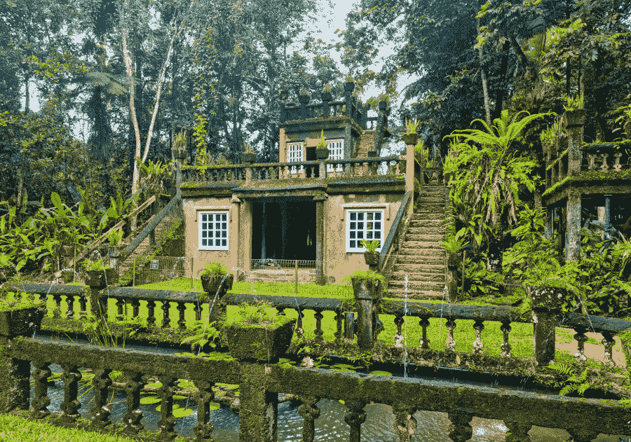 Best Daintree Rainforest Trips & Tours