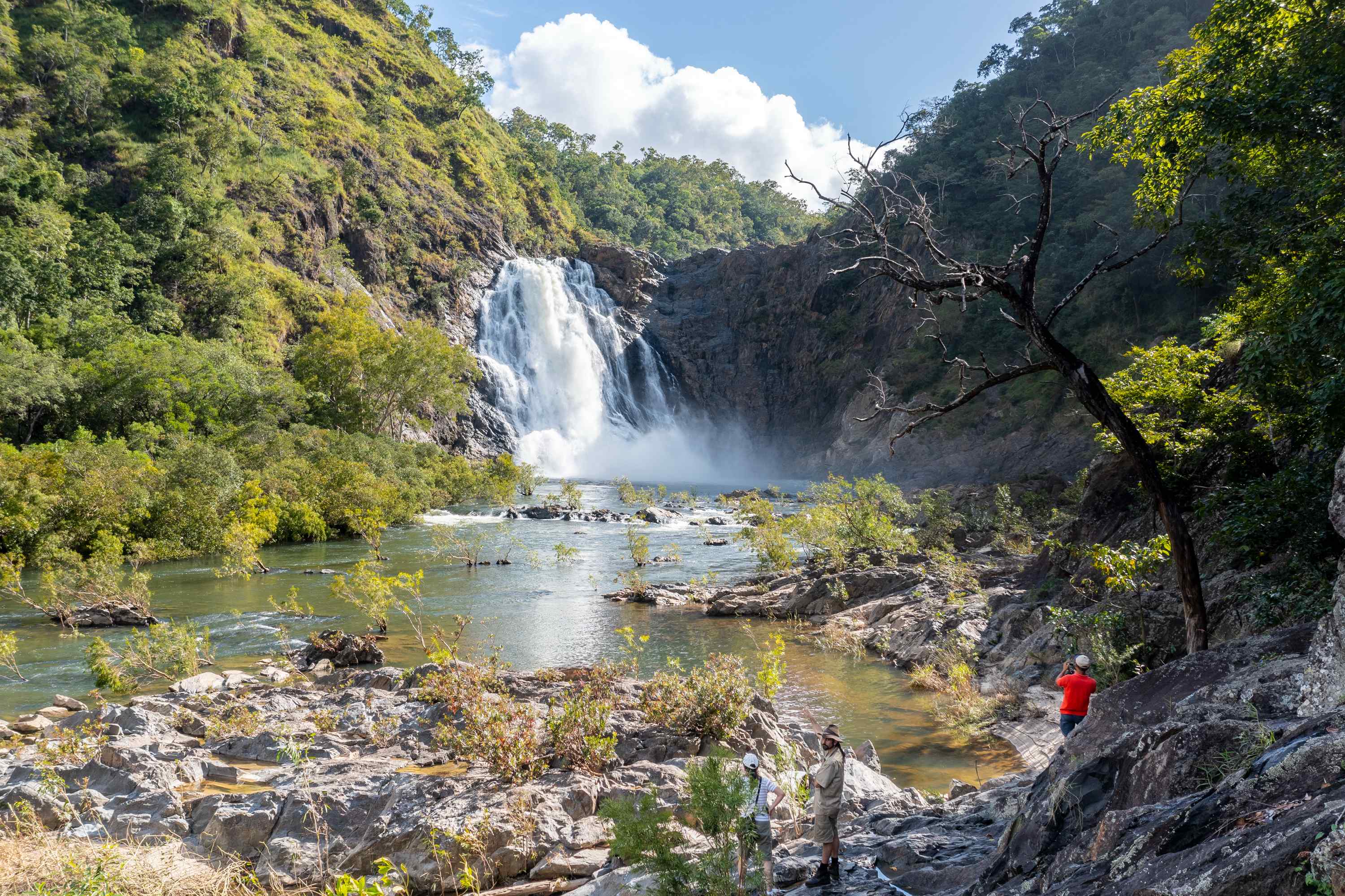 Bloomfield Falls - Far North Escapes Tours