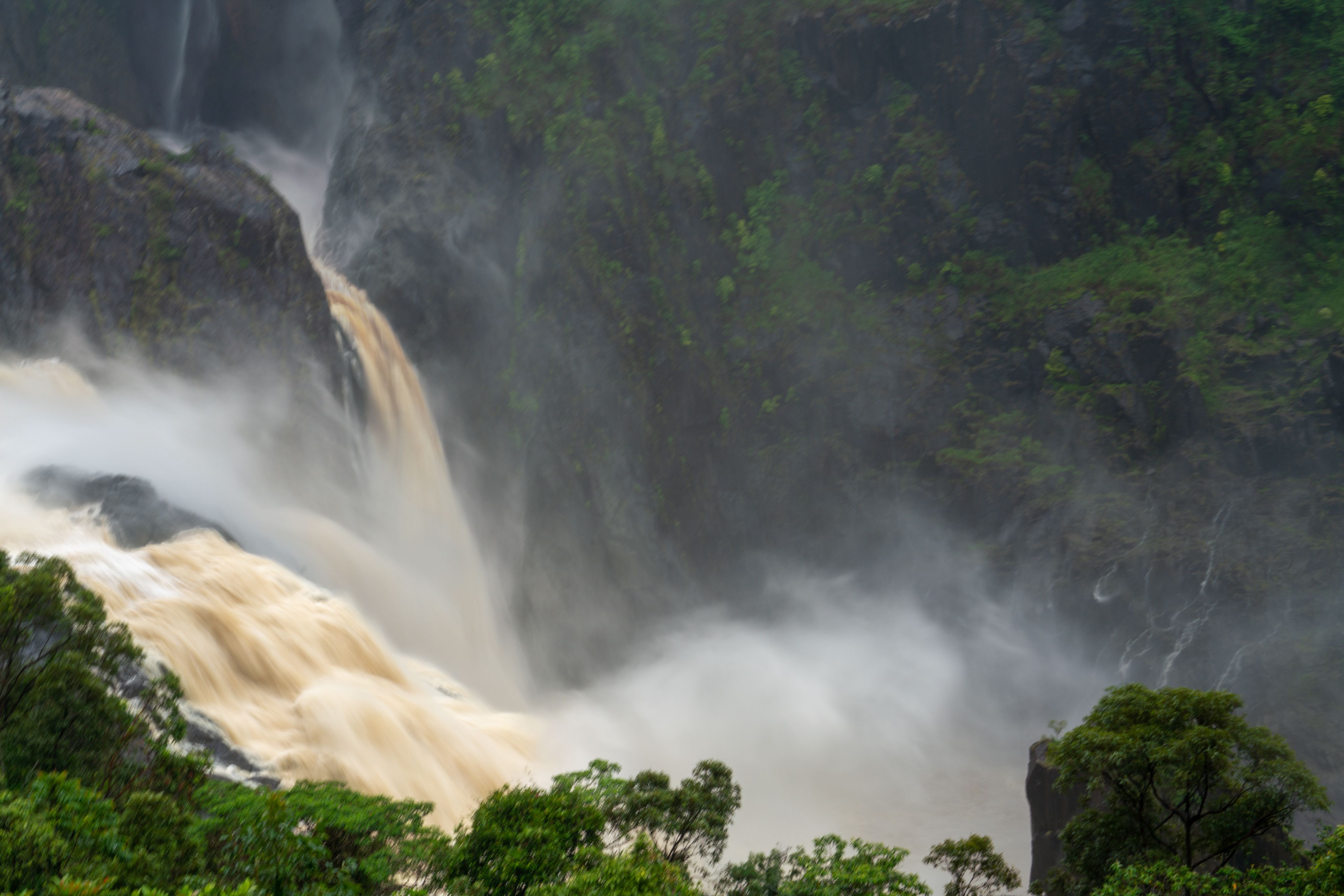 Multi day 3 day 4wd Cooktown tour - Daintree rainforest trip