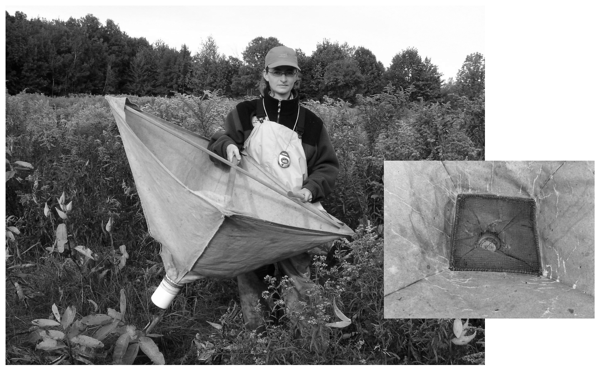 From two to three dimensions : improvement of the traditional beating ...