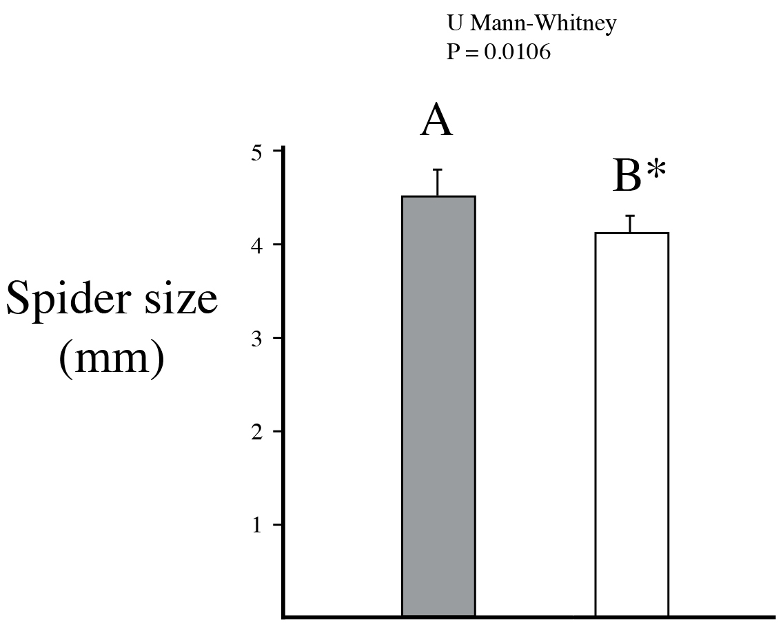 From two to three dimensions : improvement of the traditional beating ...