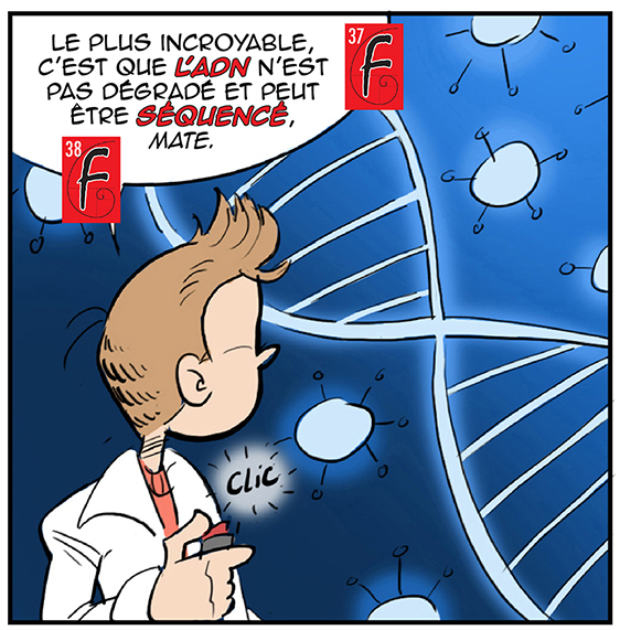 37 - ADN | NatureWeb.com