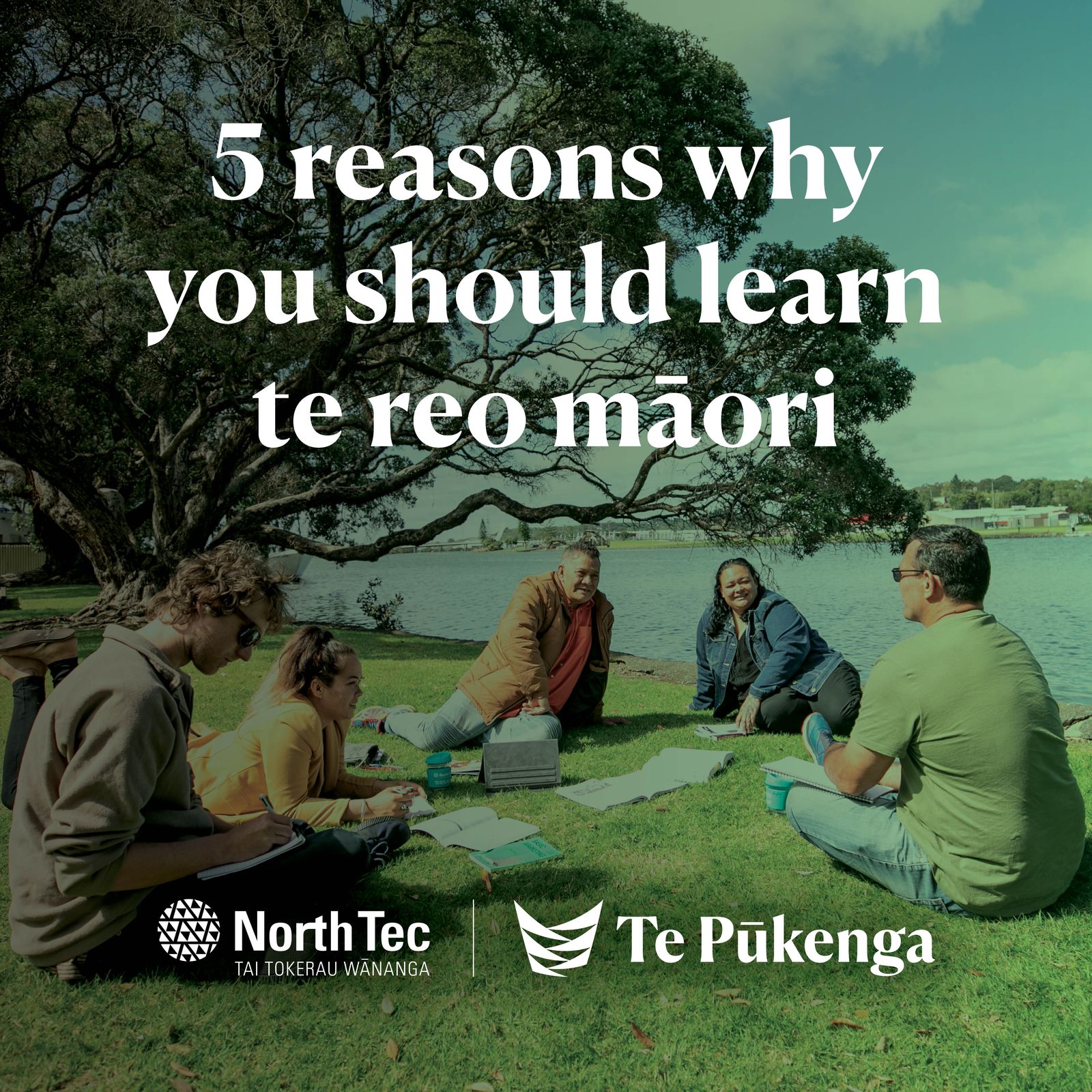 5 Reasons to Learn Te Reo Māori - NorthTec | Te Pūkenga