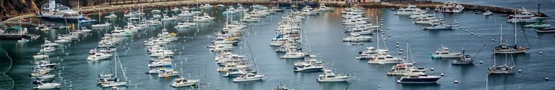 The Origins of Fish Capture Flags - Marinalife