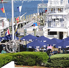 Cruising the Long Island Sound - Marinalife