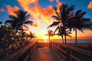 Florida's East Coast - Marinalife