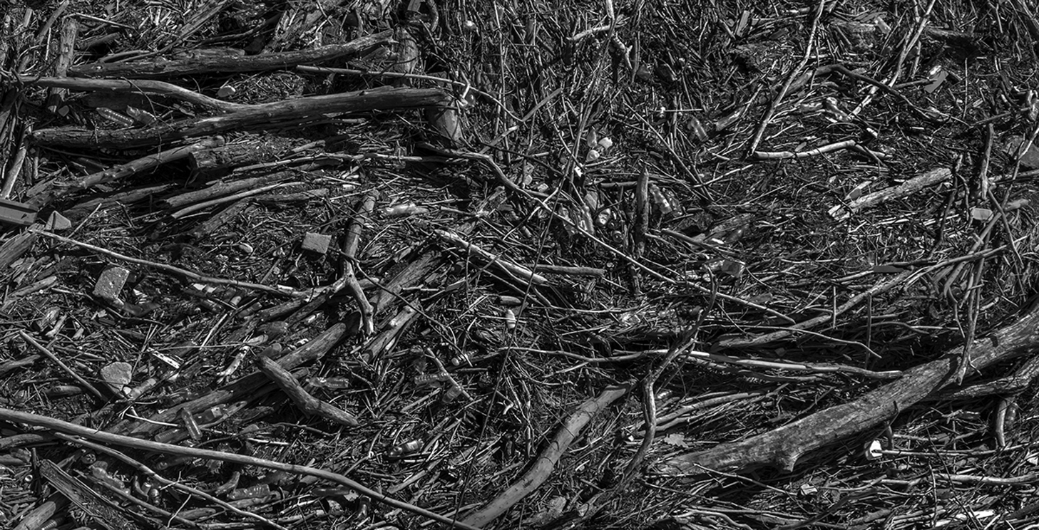 Valentin Trifescu | Szövegek-utak | Helikon