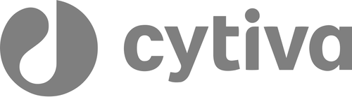 BoxPlay - Meet the future of learning