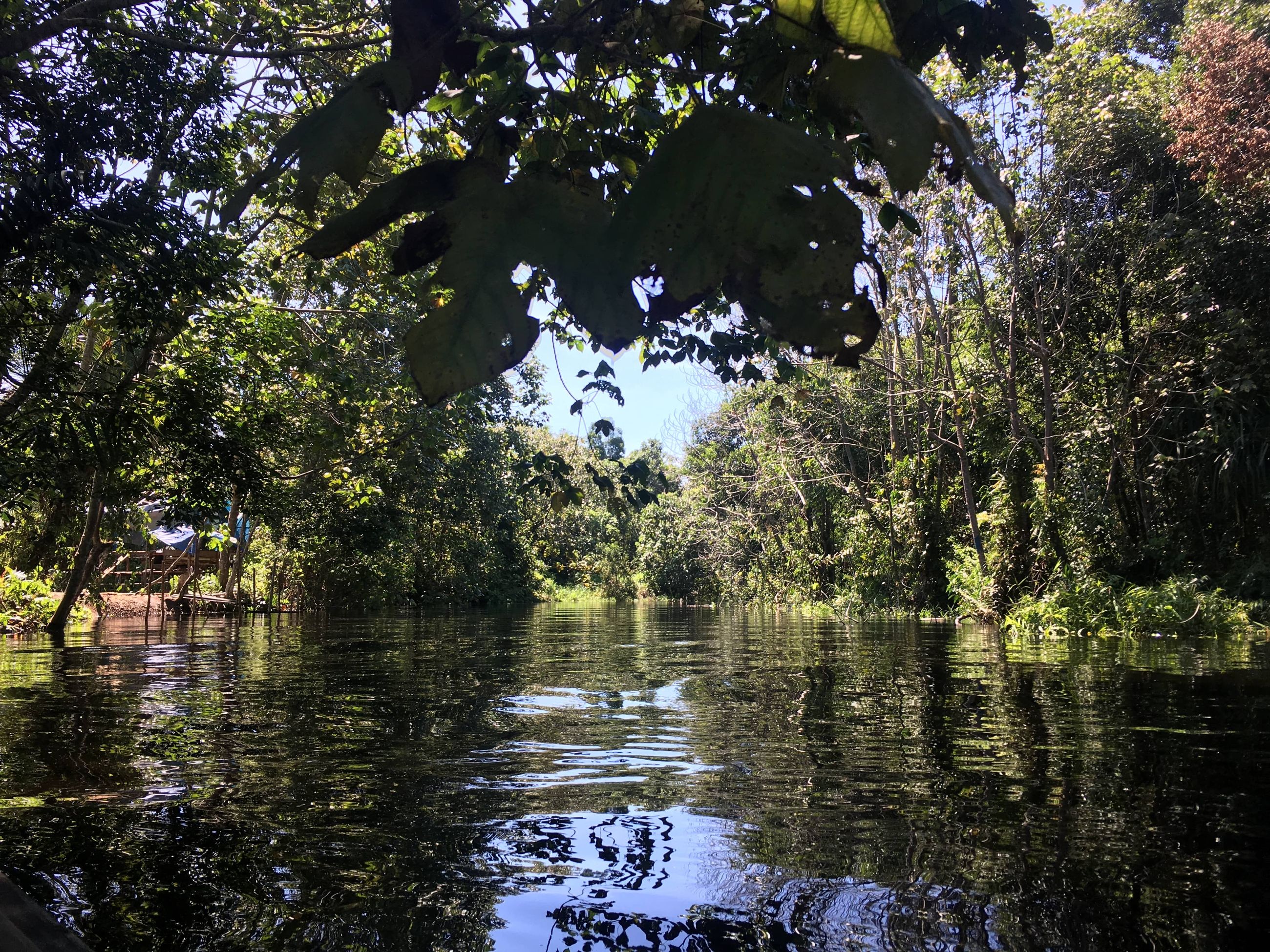 Piloting Nature Positive Farming with smallholder producers in ...