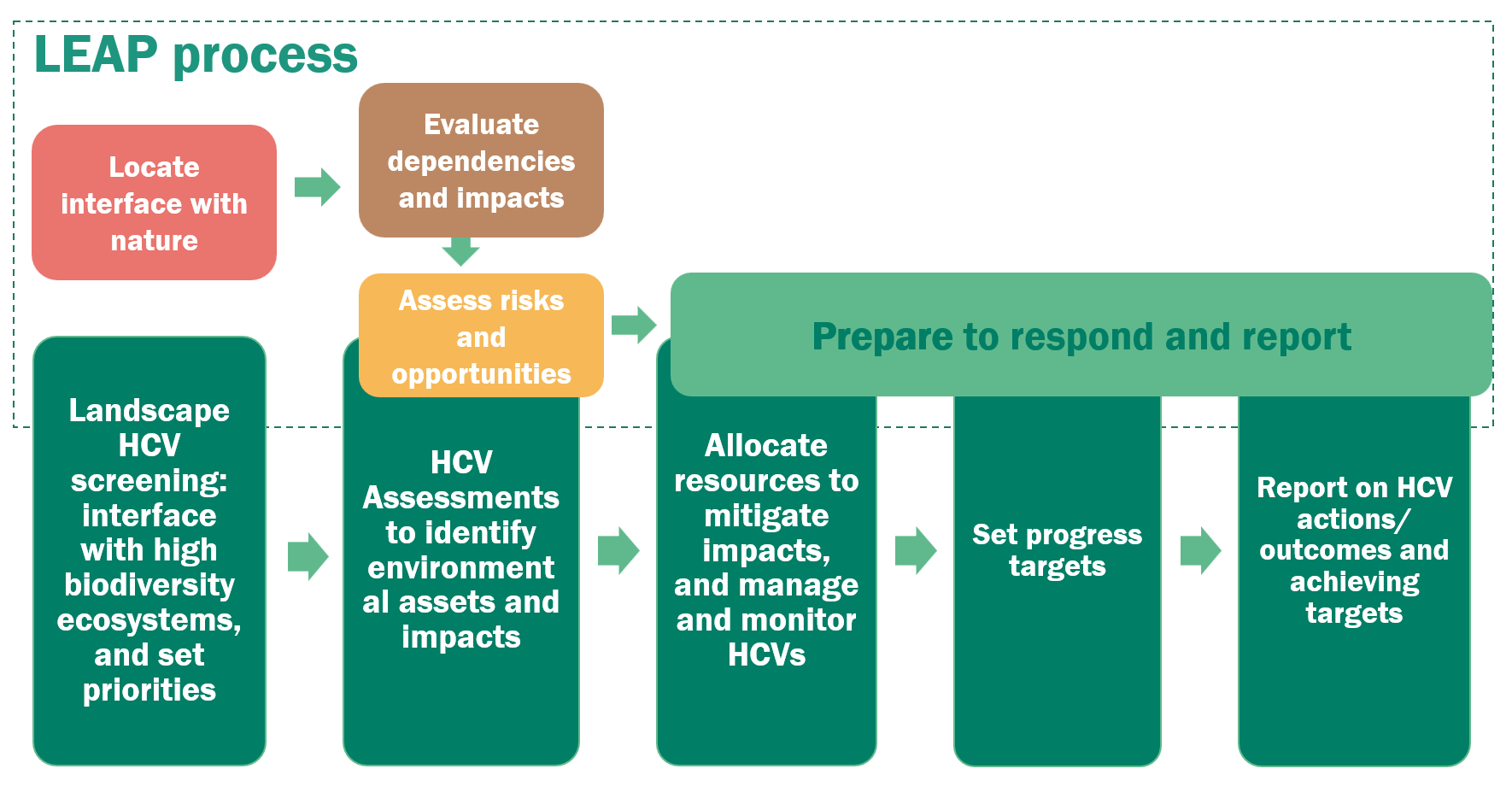 HCV Screening and TNFD’s LEAP Framework: getting a good start in ...