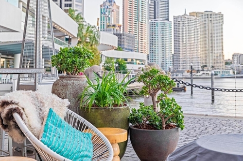 River Bar & Kitchen | Brooke's Blooms