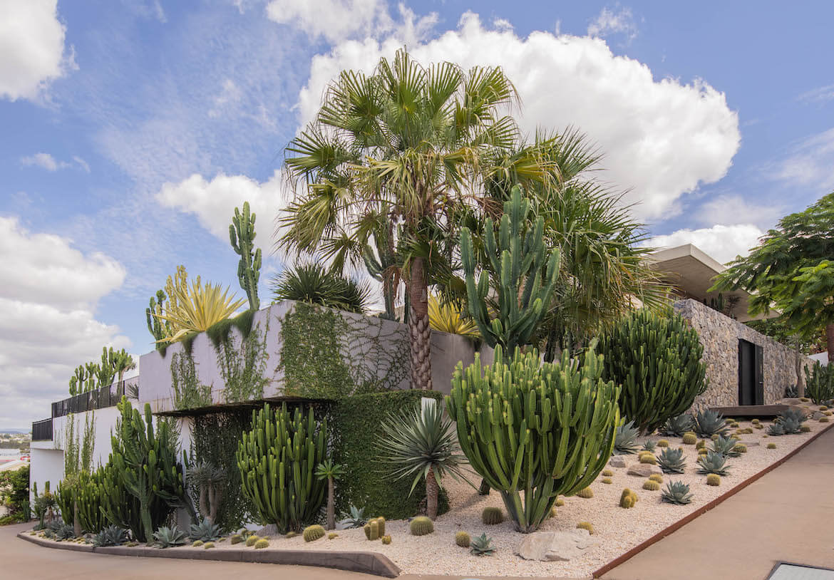 Cactus House | Brooke's Blooms