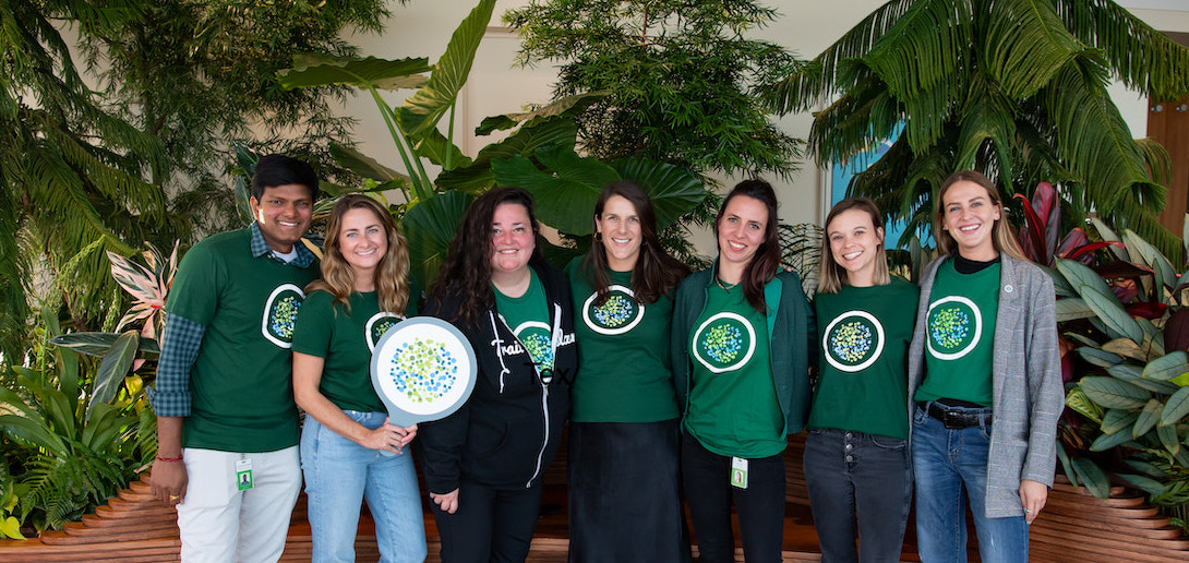 Salesforce: How to create a green team