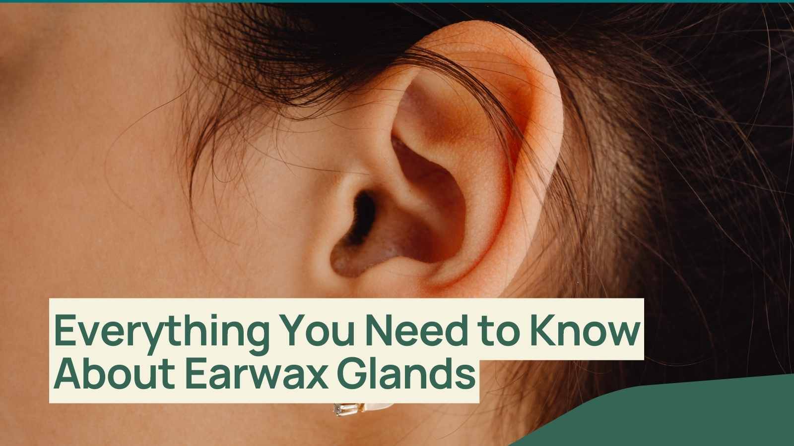 Everything You Need to Know About Earwax Glands