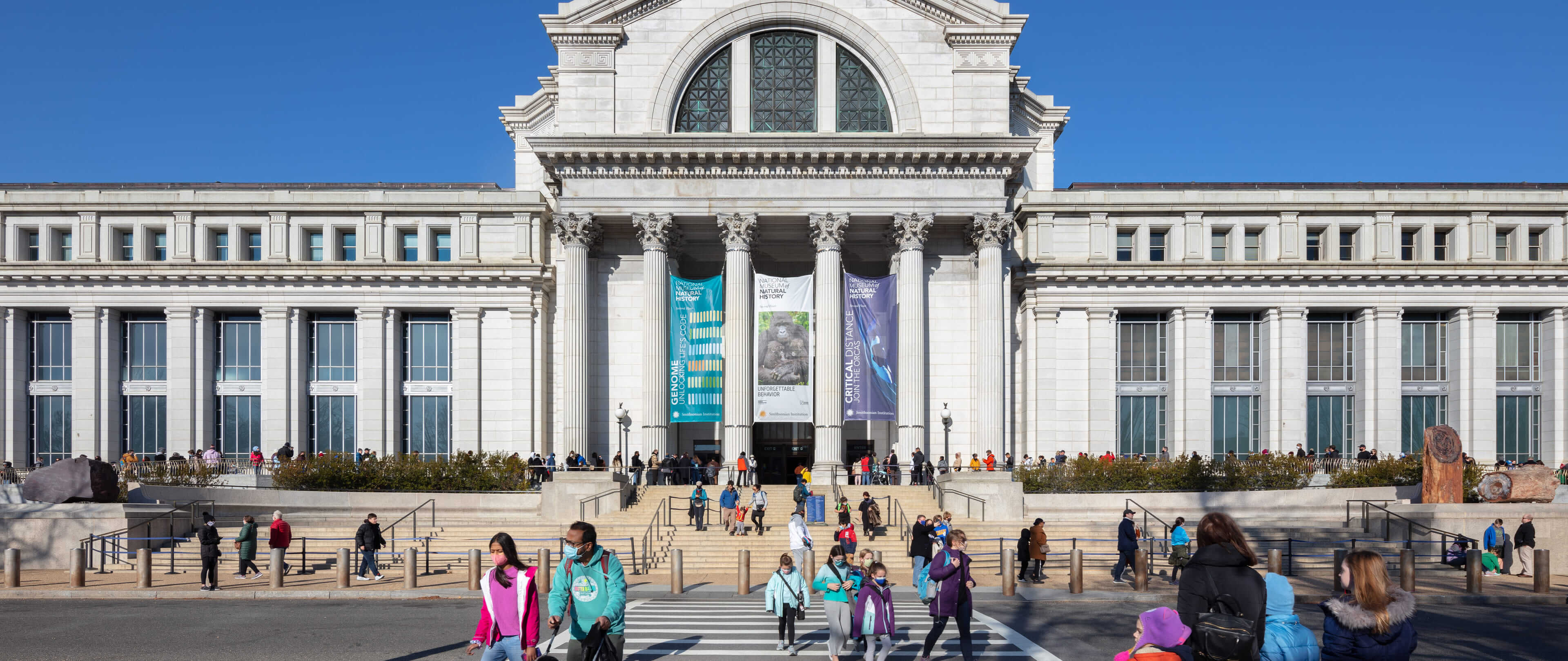 National Museum Of Natural History South Entrance Washington DC
